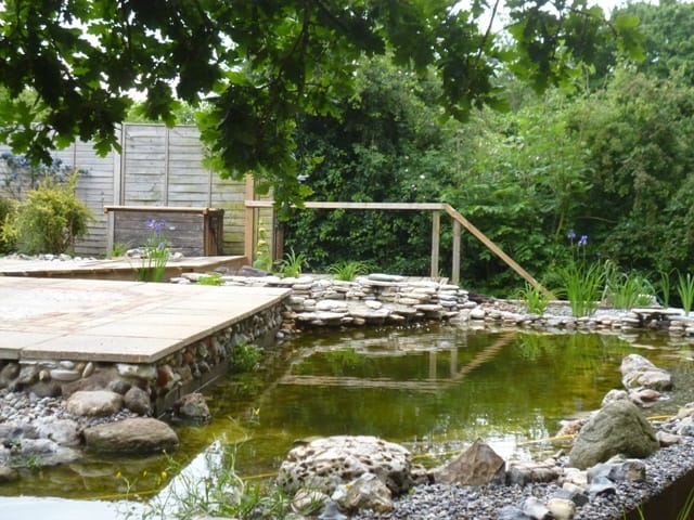 Infinity Pond - Miles Garden Design, Norfolk